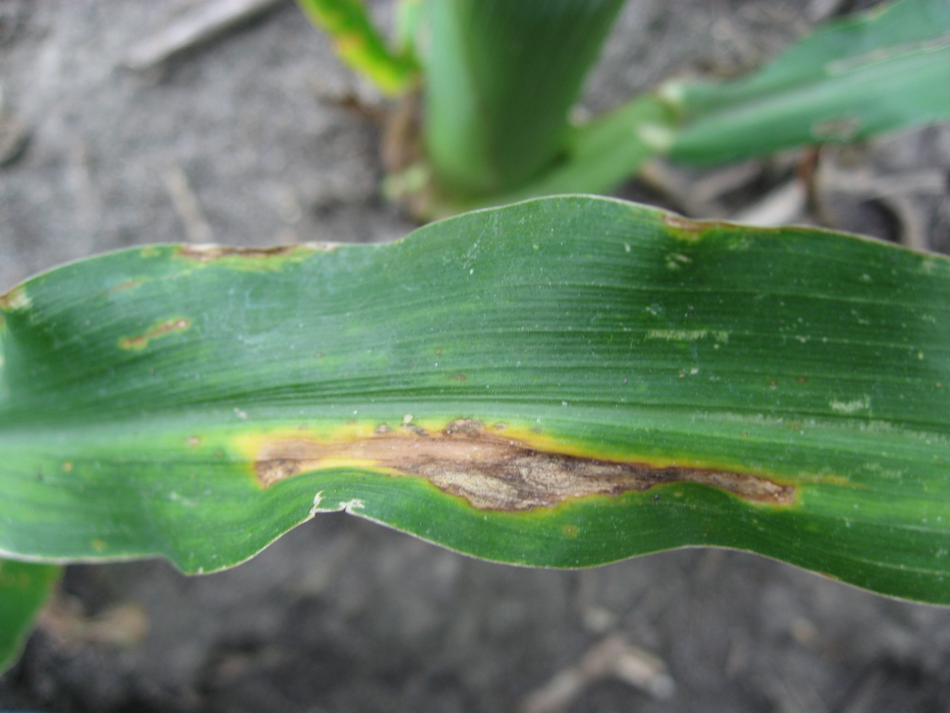 Crop Protection Network