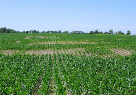 Crop Protection Network