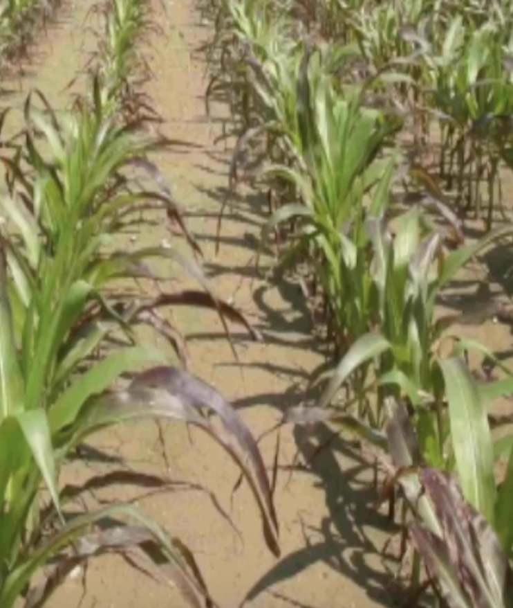 Crop Protection Network