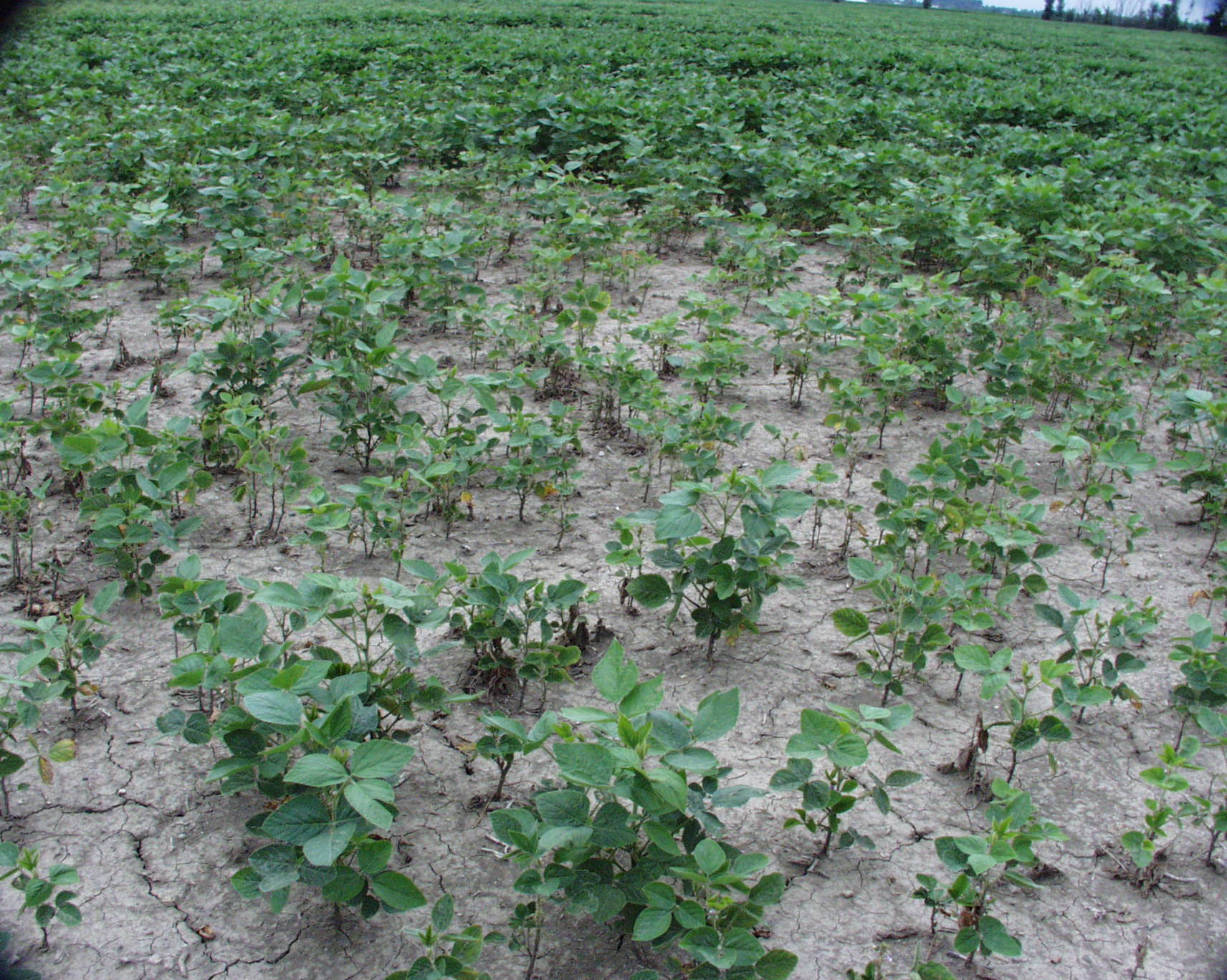 Crop Protection Network