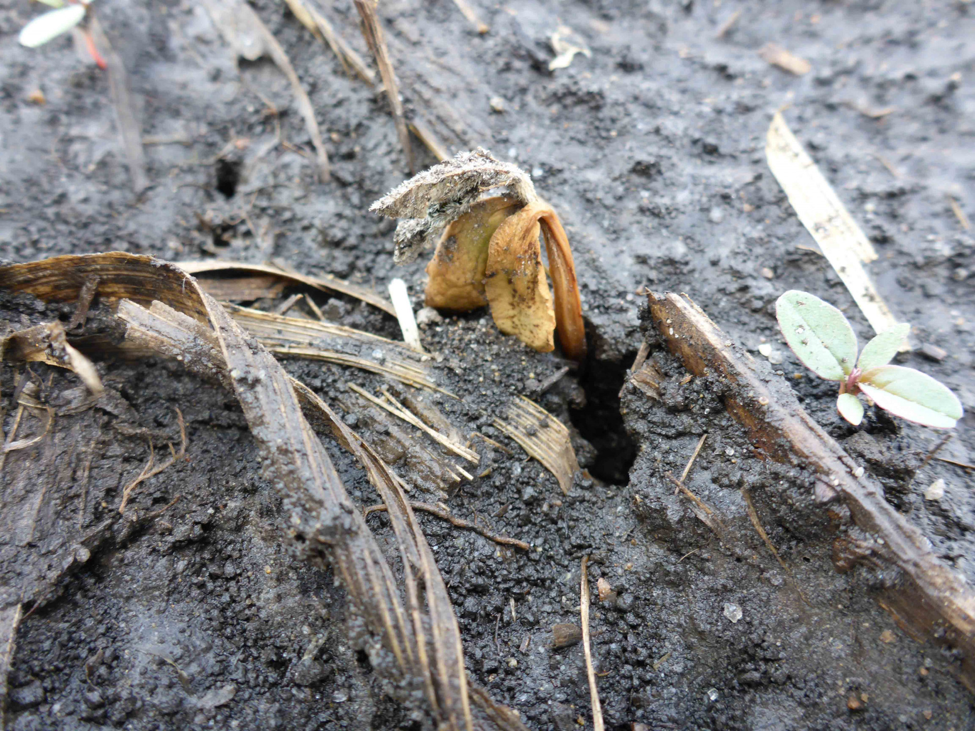 Crop Protection Network